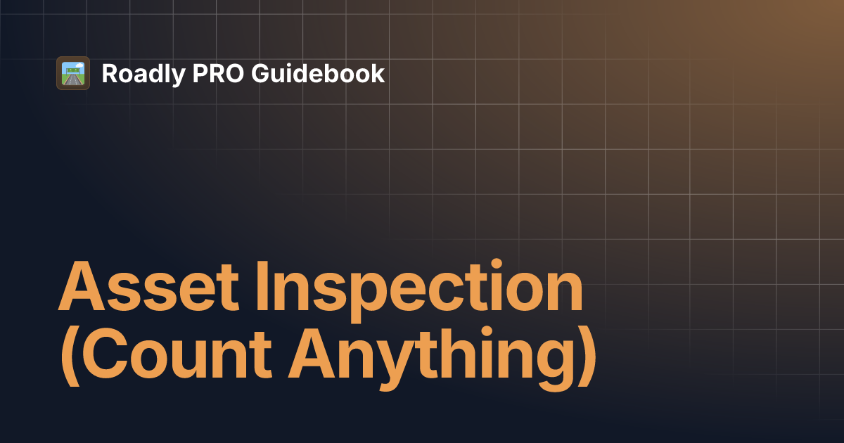 Asset Inspection (Count Anything) | Roadly PRO Guidebook
